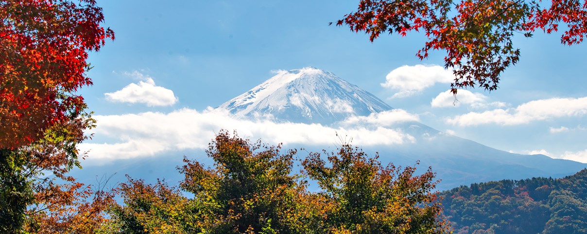 Sake – Japansk alkoholdryck av polerat ris | Systembolaget