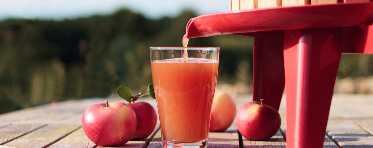 Recept på alkoholfria drinkar och mocktails | Systembolaget