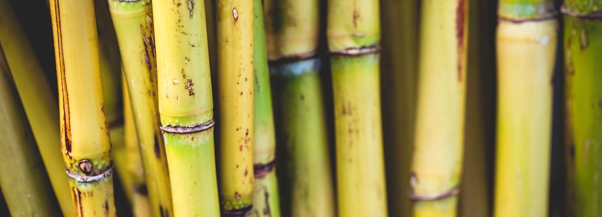 Romdrinkar & cocktails: drinkar med rom | Systembolaget